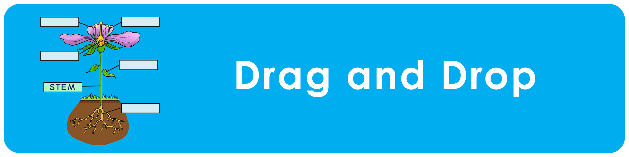 Food Chain - Oaka Digital